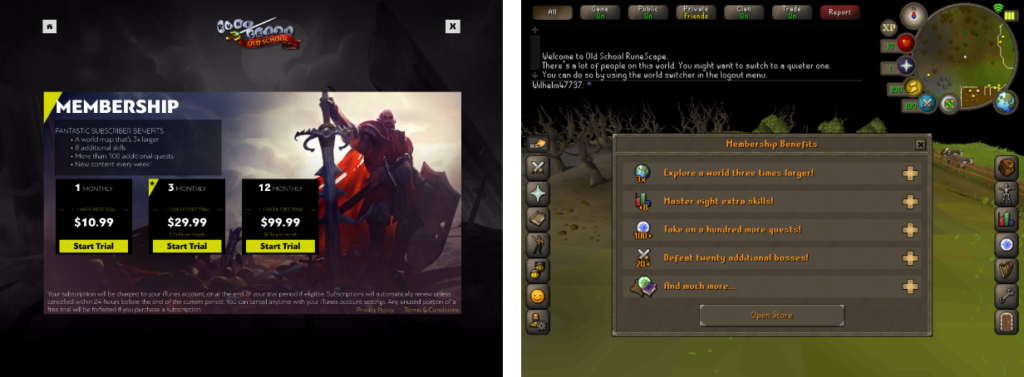 Boost Your Mobile Game Monetization With IAP Mechanics